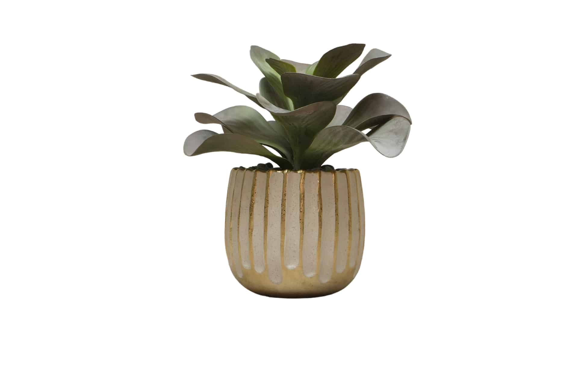 No-46 Grey Glossy Pot Tillandsia 24 - Home Decor